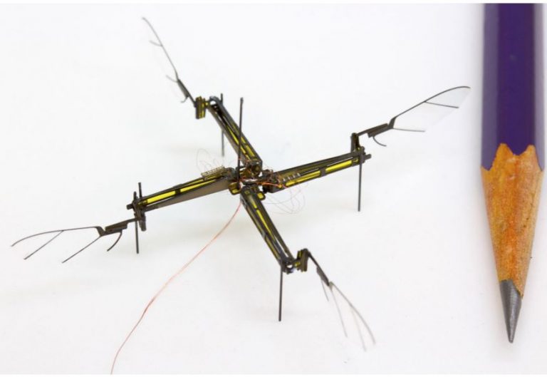 UW Autonomous Insect Robotics Laboratory