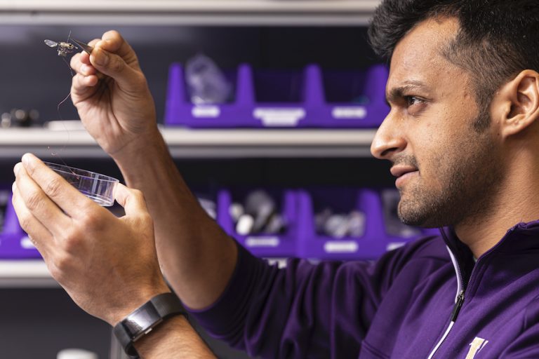 UW Autonomous Insect Robotics Laboratory