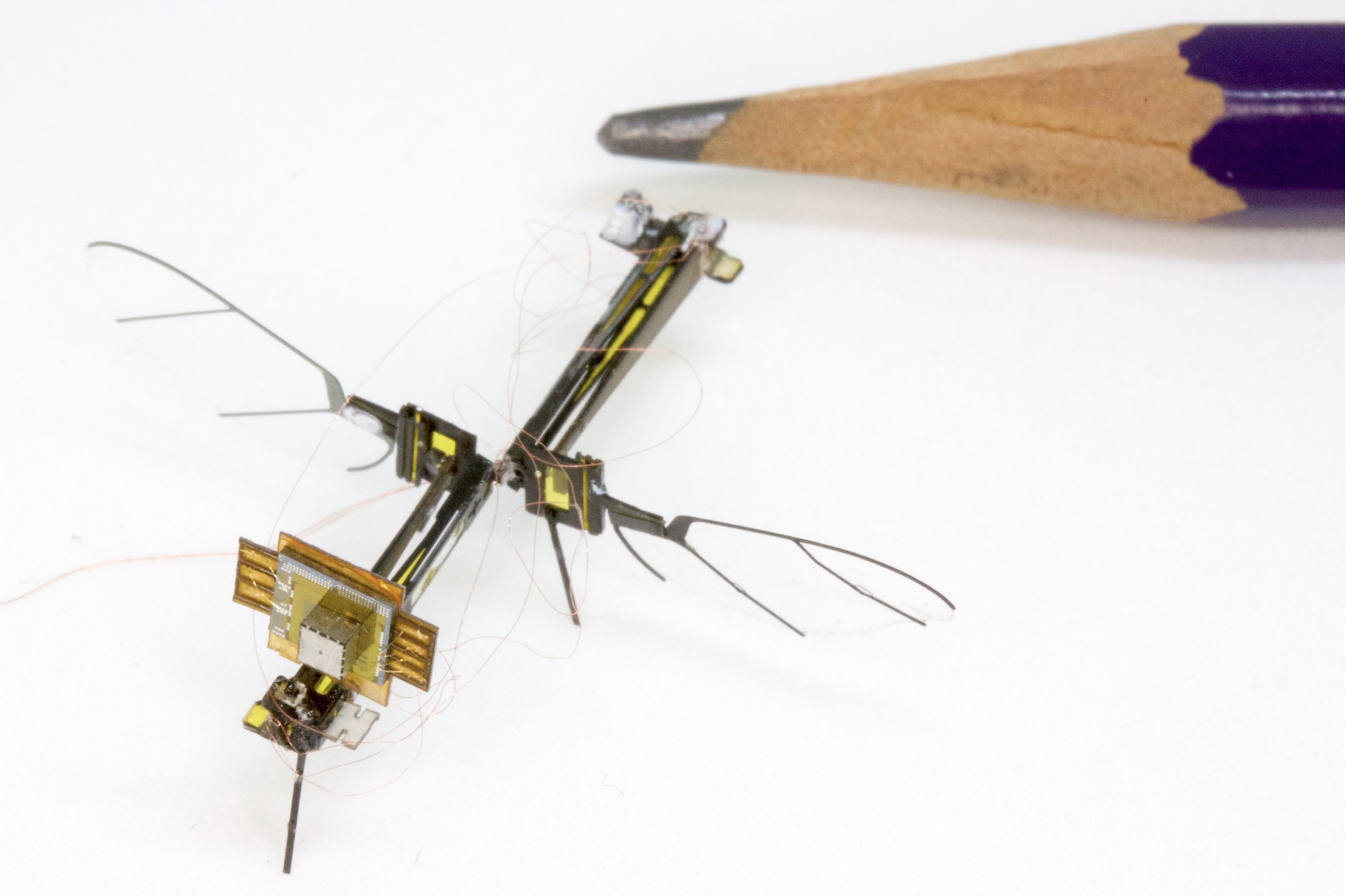 Research – UW Autonomous Insect Robotics Laboratory