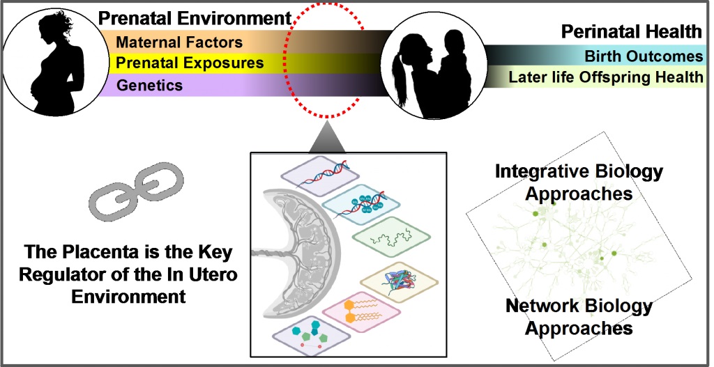 Paquette Lab - Center for Developmental Biology and Regenerative Medicine
