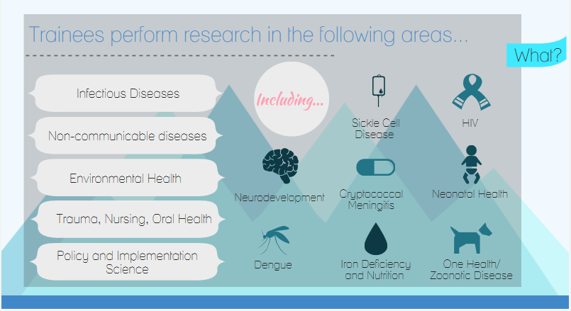 Splash | Global Health Fellows