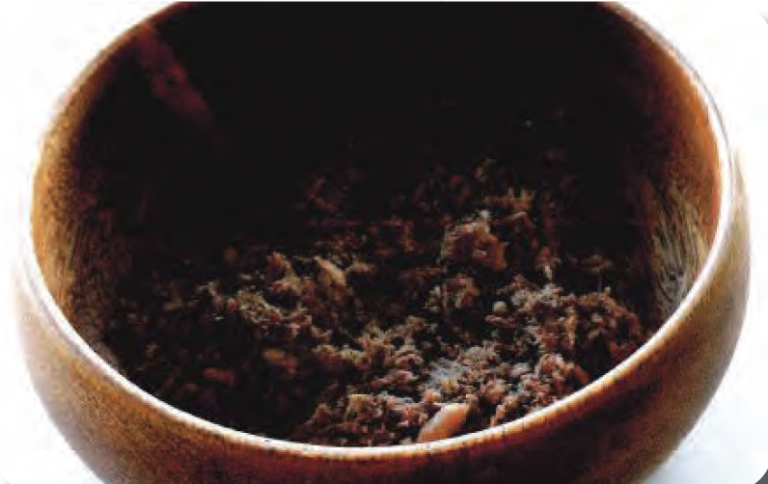 Papa Wasna – Cheyenne River Cooking for Health