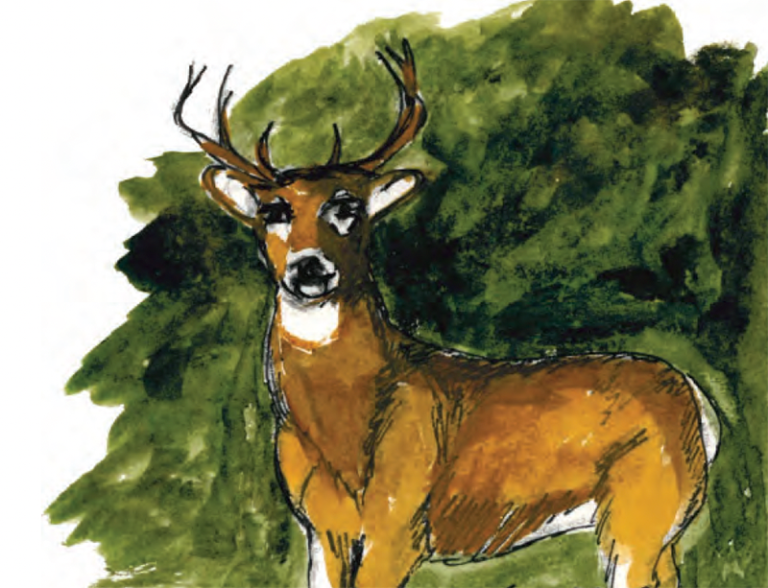 Lesson 8 – Food Budgeting and Meal Planning – Cheyenne River Cooking ...