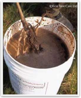 Green Technology Research