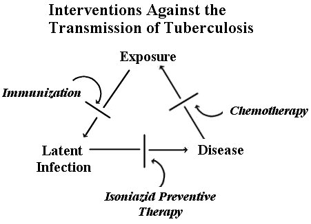 Tuberculosis: Its Reemergence, Resistance, and Therapies