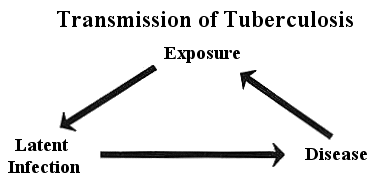 Tuberculosis: Its Reemergence, Resistance, and Therapies