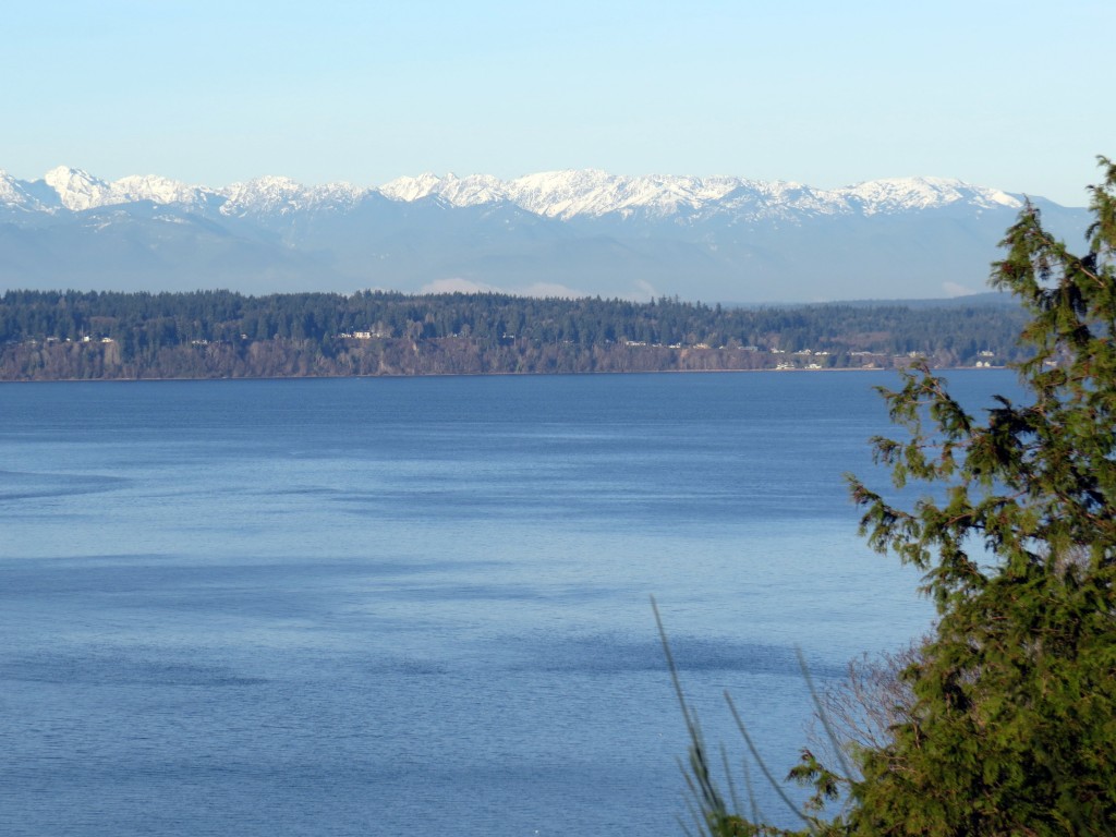 Project Area: Puget Sound in the Salish Sea – Illustrated Guide to Benthic Foraminifera of Puget ...