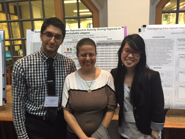 Photographic evidence | the Miller Lab at the University of Washington