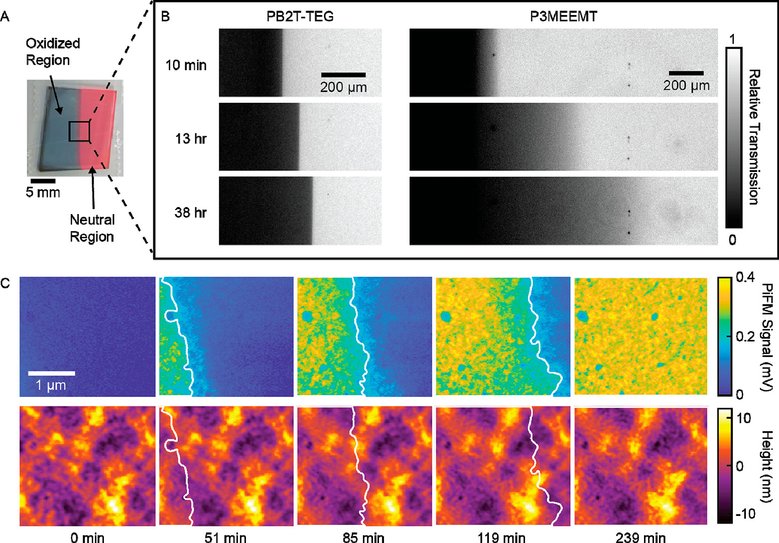Organic Mixed Ionic–Electronic Conductors (OMIECs) | Ginger Lab