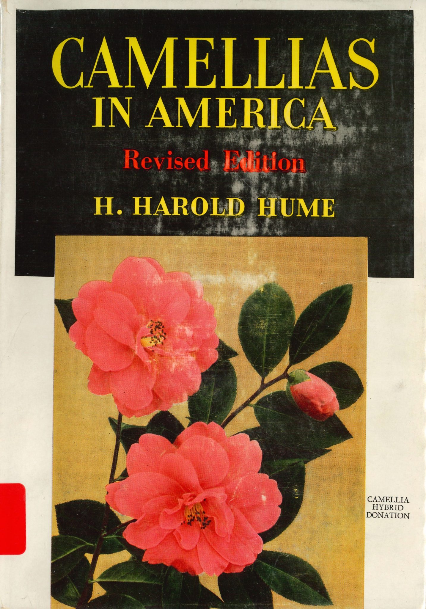 Camellias in America – Elisabeth C. Miller Library