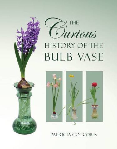 The Curious History of the Bulb Vase – Elisabeth C. Miller Library