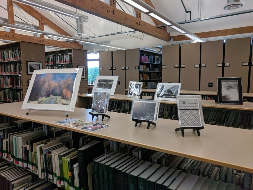 Exhibit Space | Elisabeth C. Miller Library