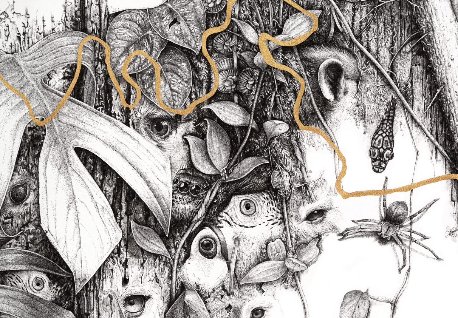 Elisabeth C. Miller Library – Connecting gardeners to information