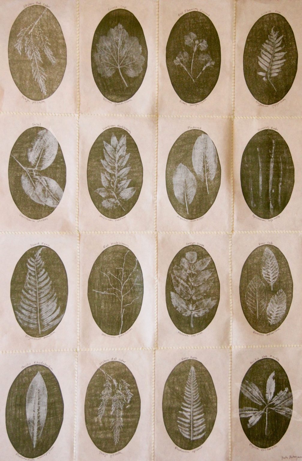 Elisabeth C. Miller Library – Connecting gardeners to information