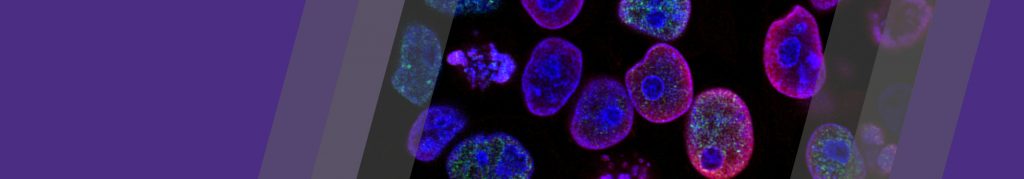 Alliance for Reducing Cancer, Northwest - Health Promotion Research ...