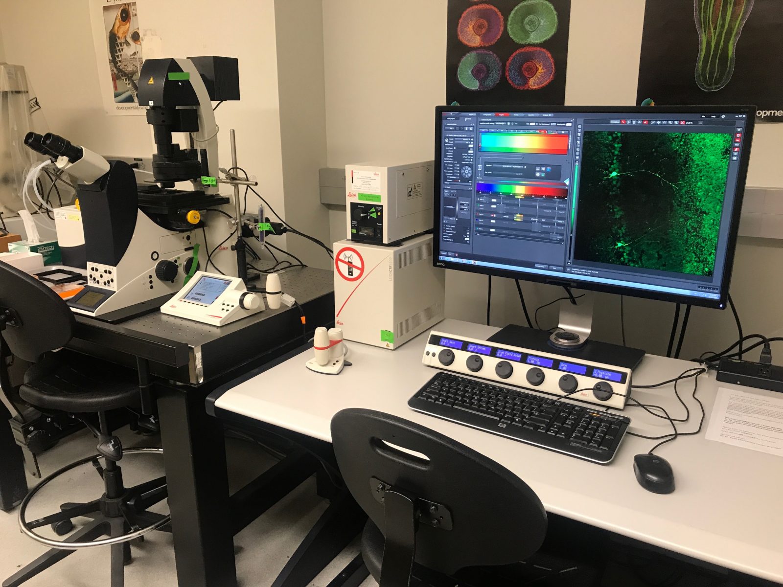 Confocal Microscopes