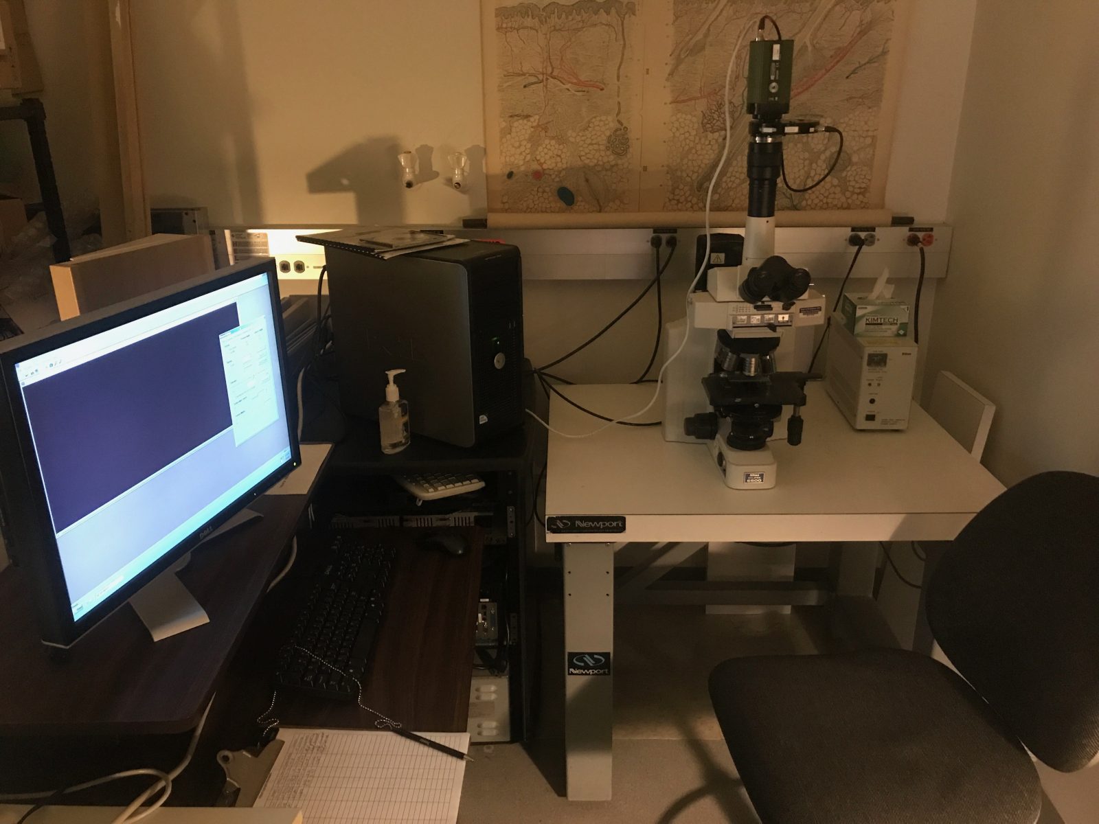 Widefield Microscopes