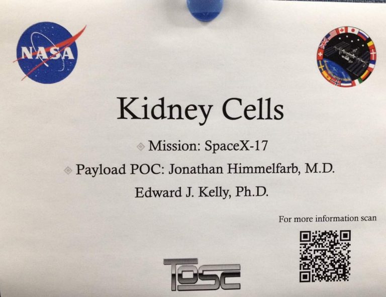 Lab News – Kelly Lab