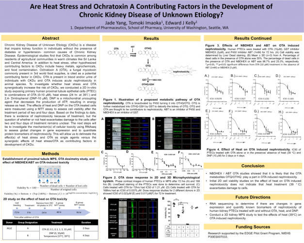 Jade Yang presents at the Virtual 23rd Annual Undergraduate UW Research Symposium – Kelly Lab