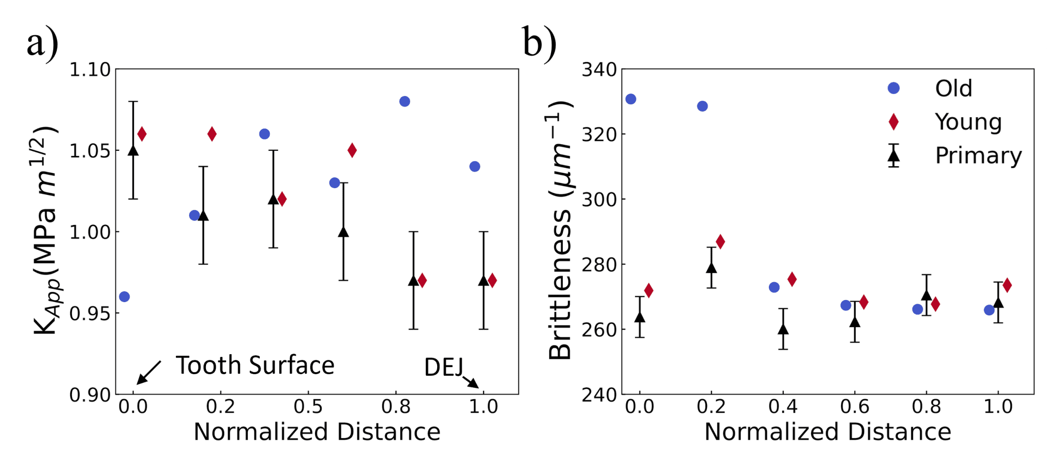 Tooth Degradation – Laboratory for Advanced Materials and Processes