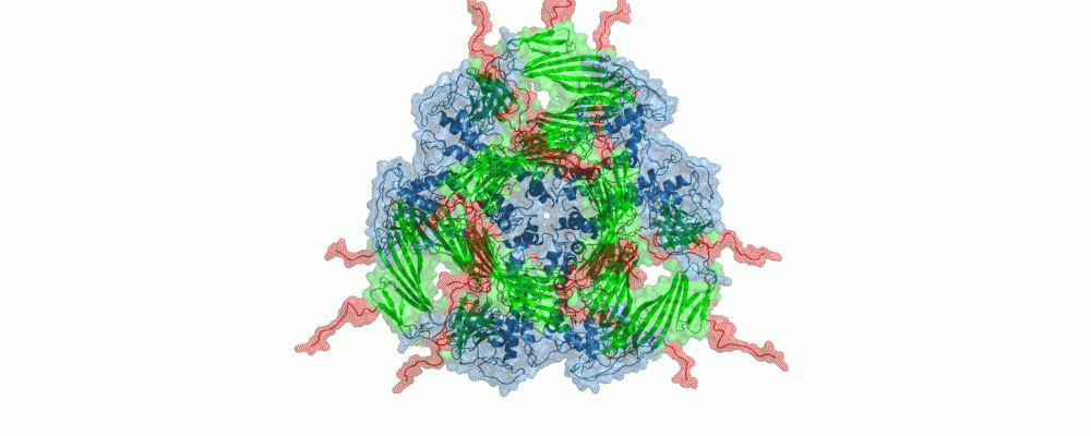 Molecular Biophysics Training Program