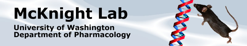 McKnight Lab-Kimberly Smith