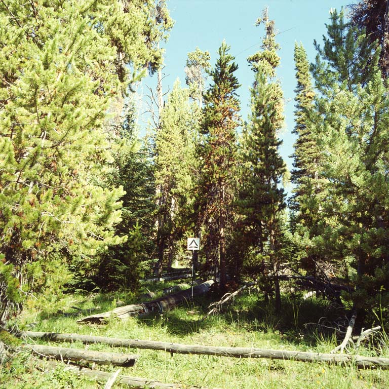 Digital Photo Series: Site LP 13