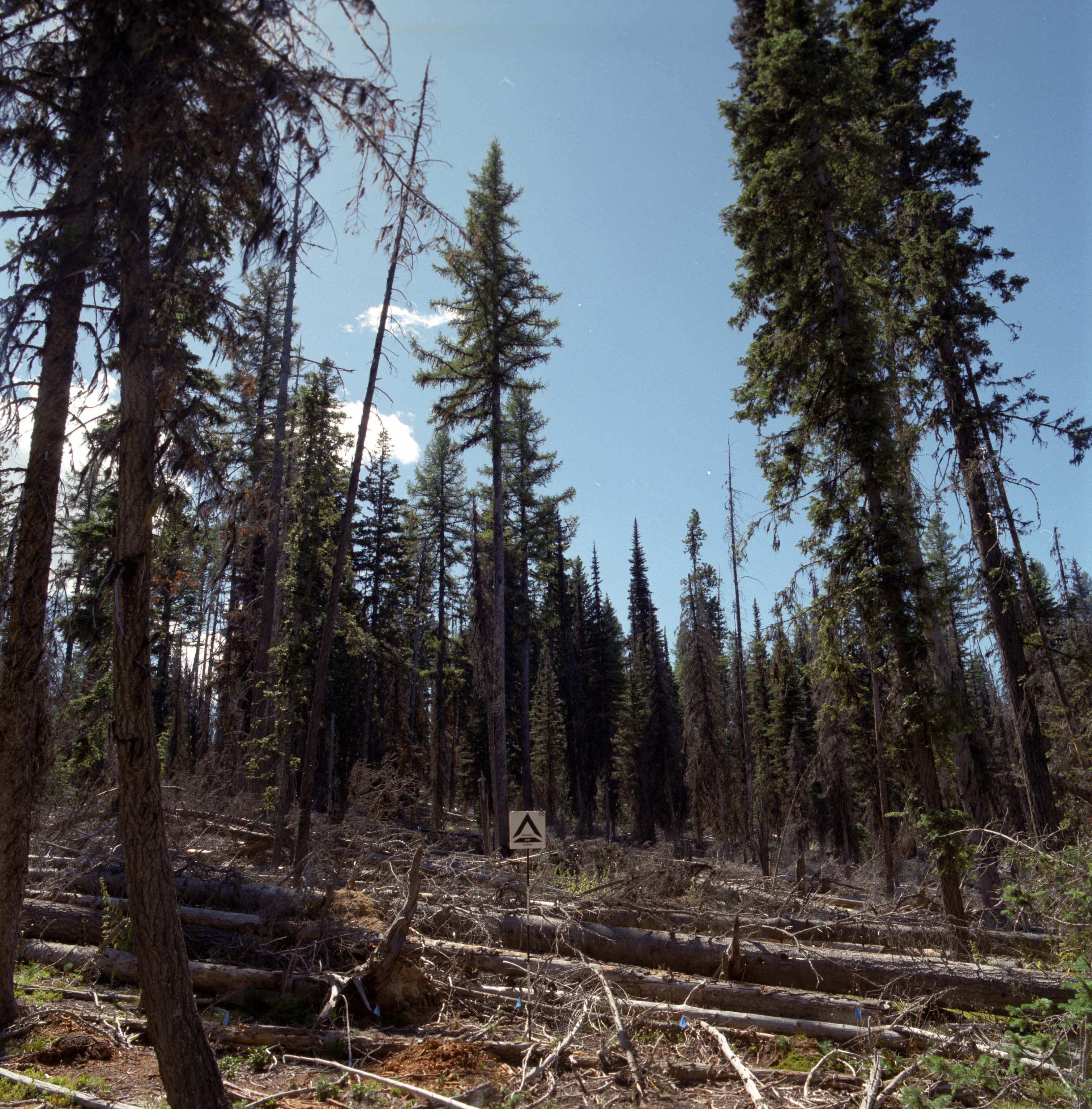 Digital Photo Series: Site MC 16