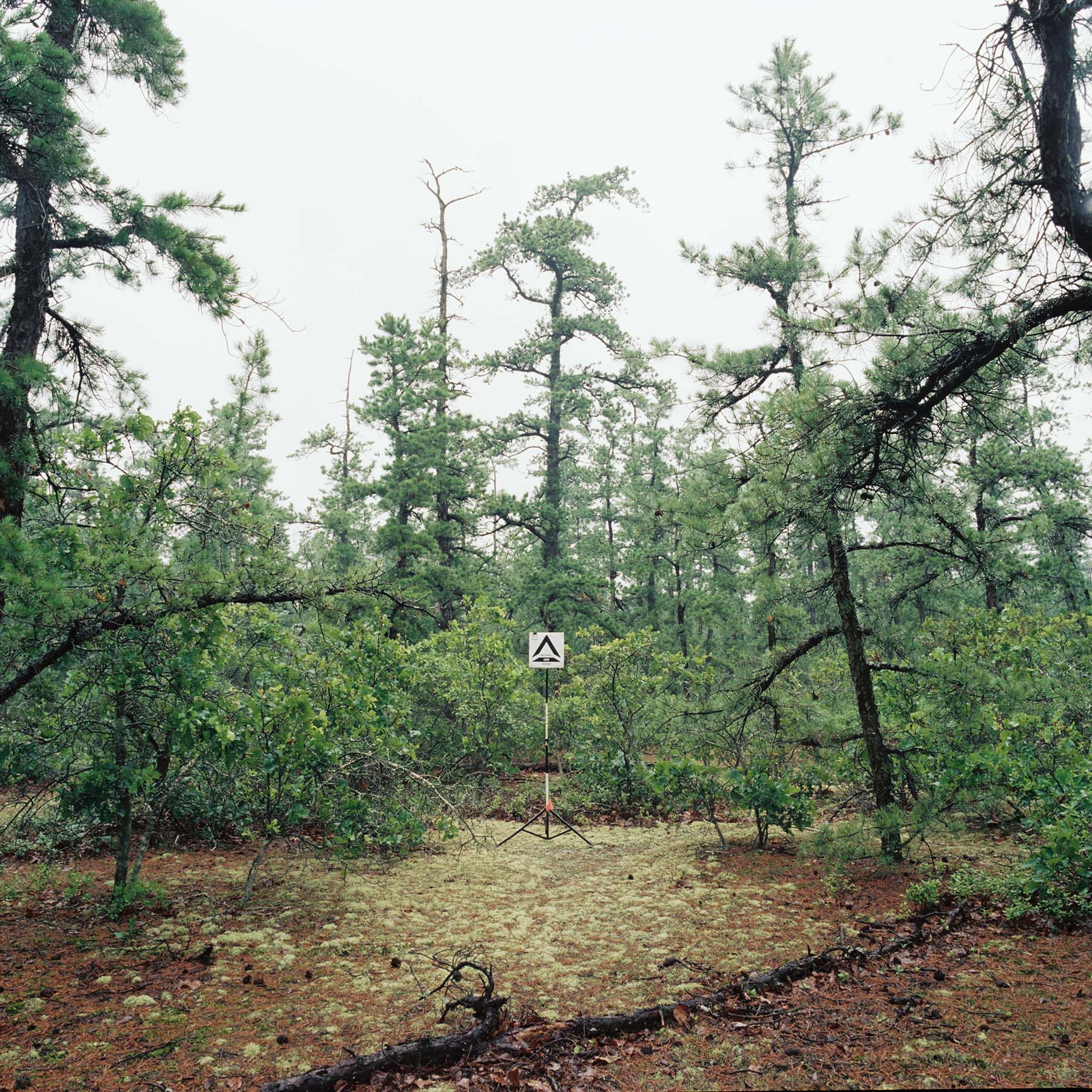 Digital Photo Series: Site NEPP 05