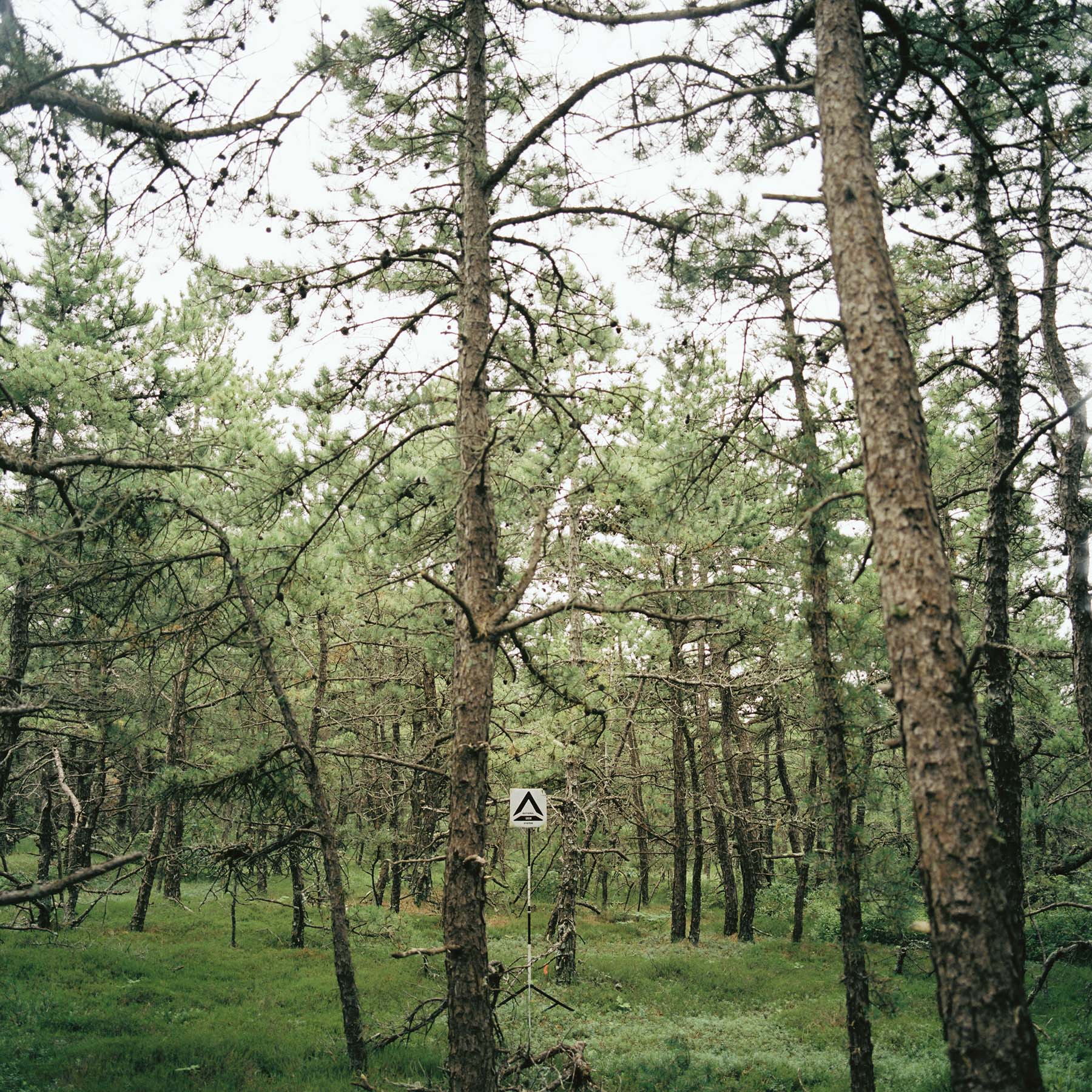 Digital Photo Series: Site NEPP 06