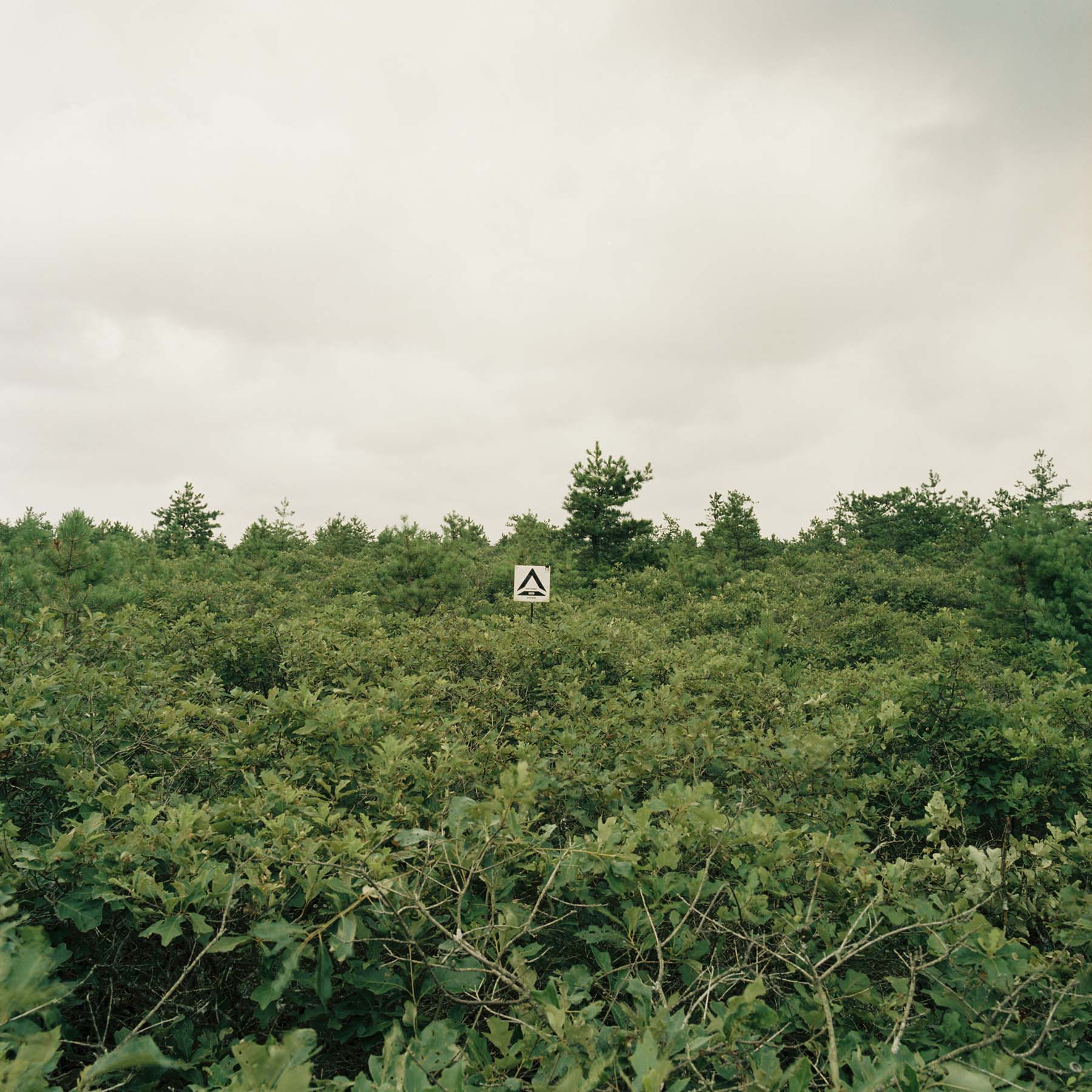 Digital Photo Series: Site NEPP 12