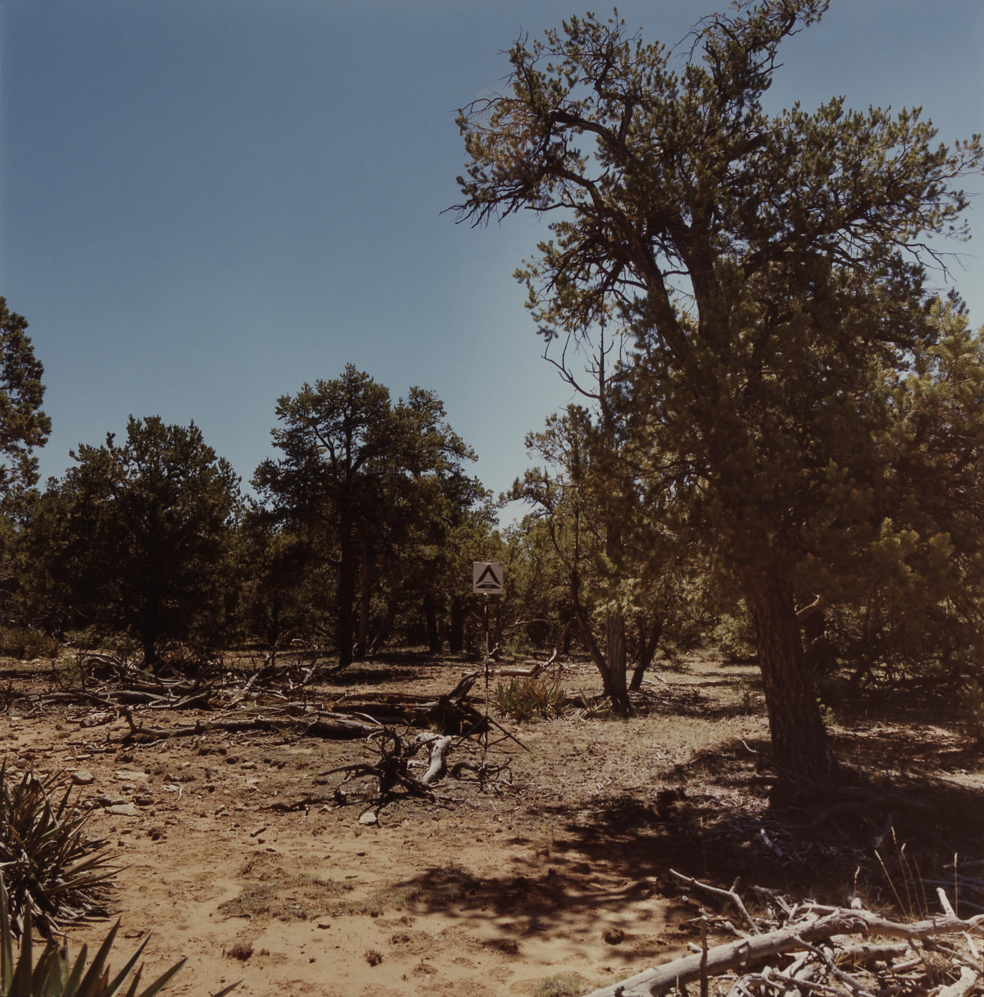 Digital Photo Series: Site PJ 13