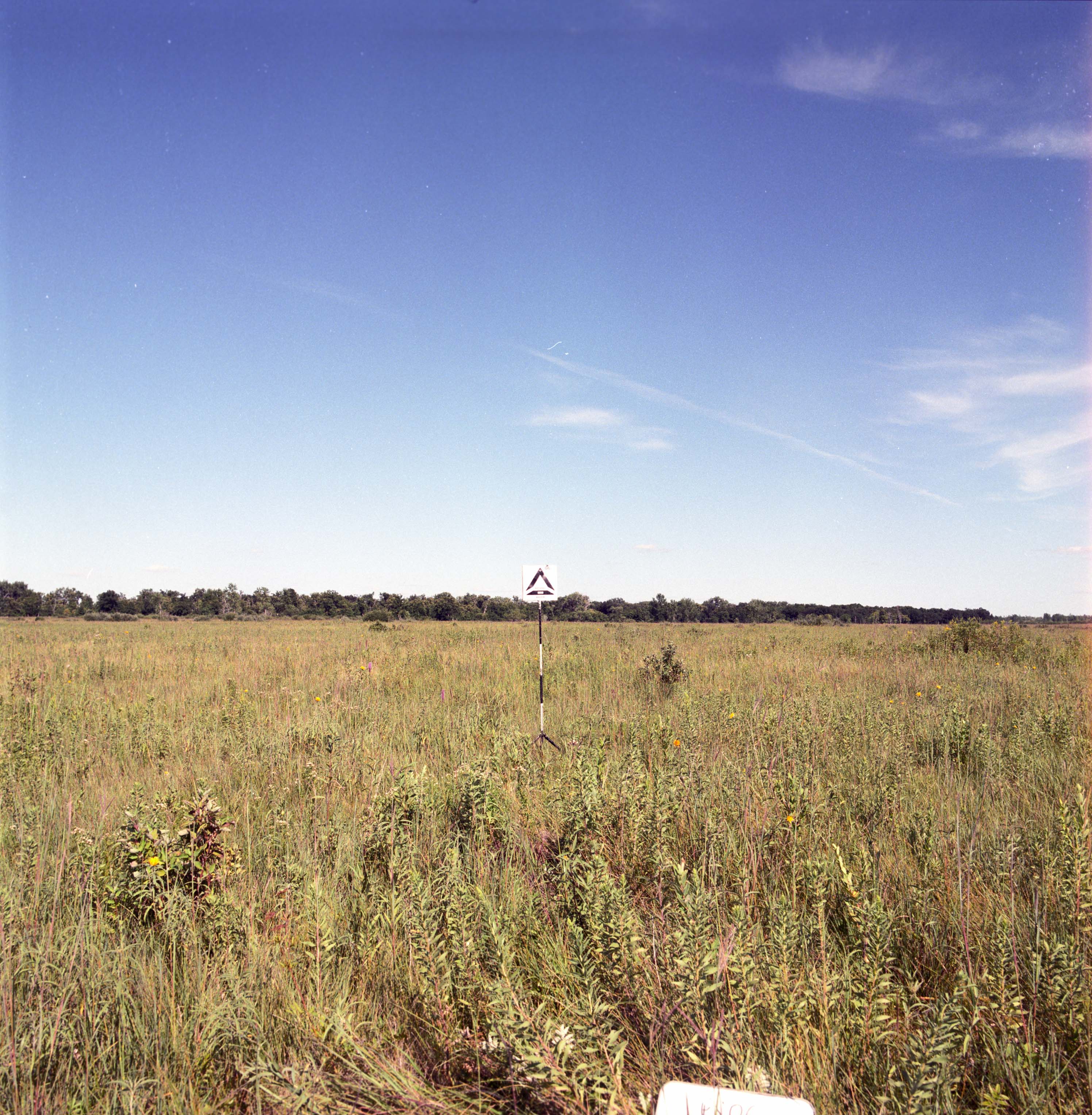 Digital Photo Series: Site TP 15