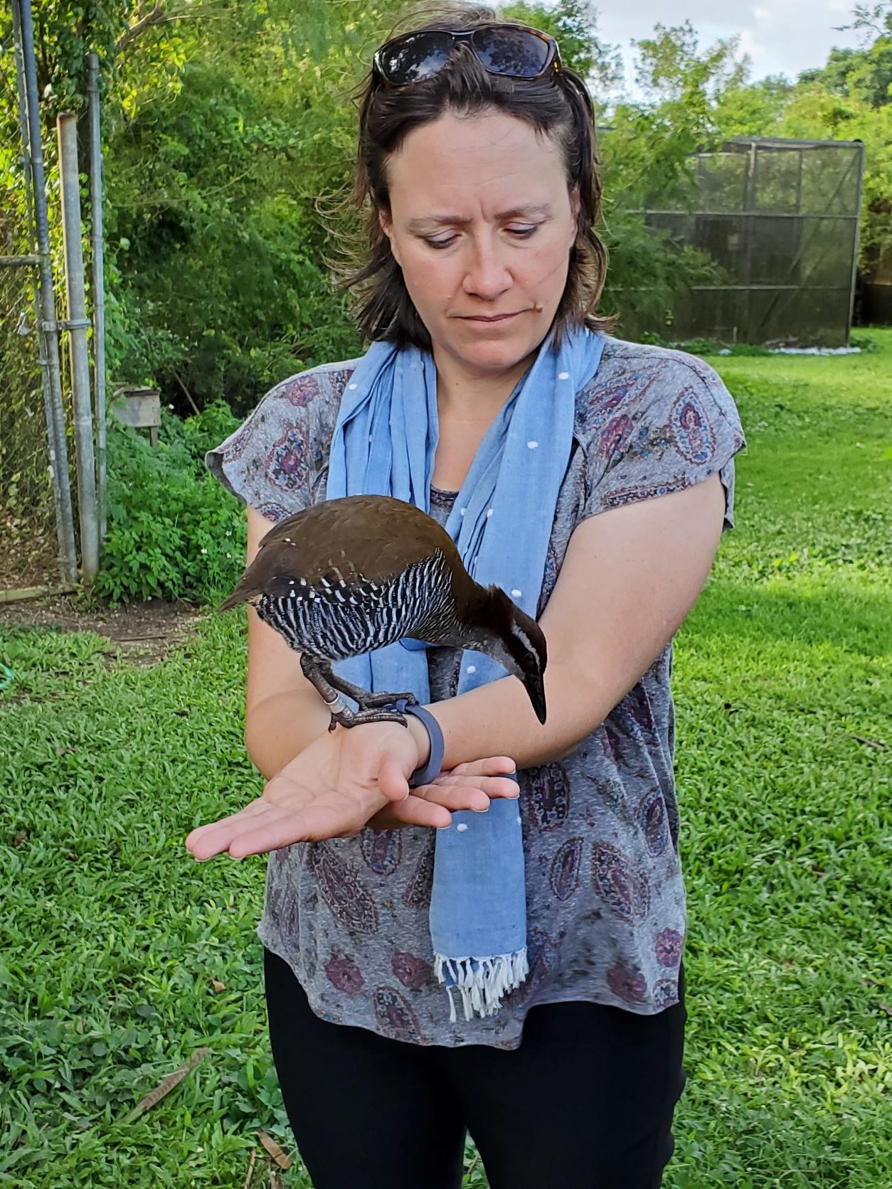 Lab Members – Quantitative Conservation Lab