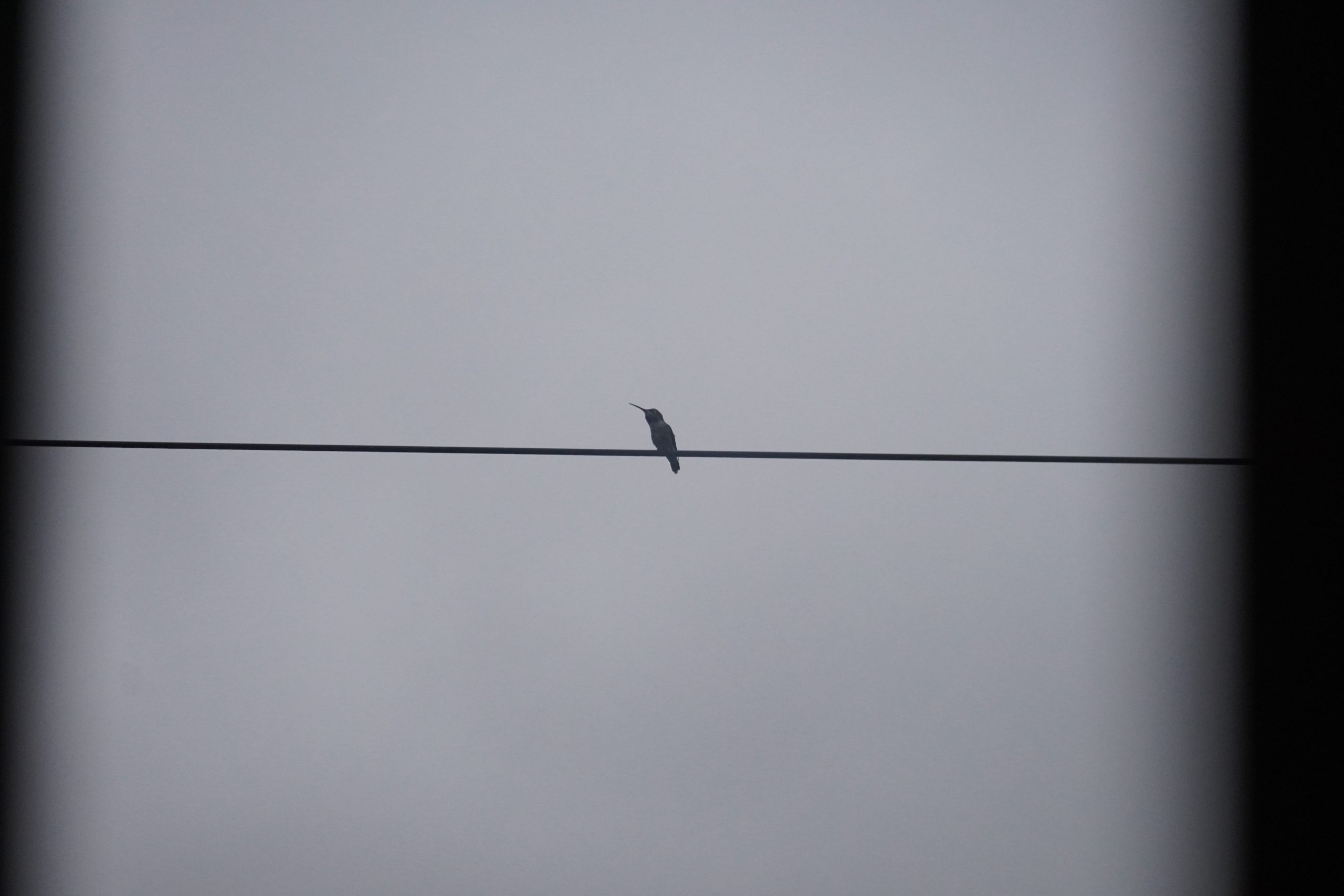 A Field Site Close to Home - Science Positive