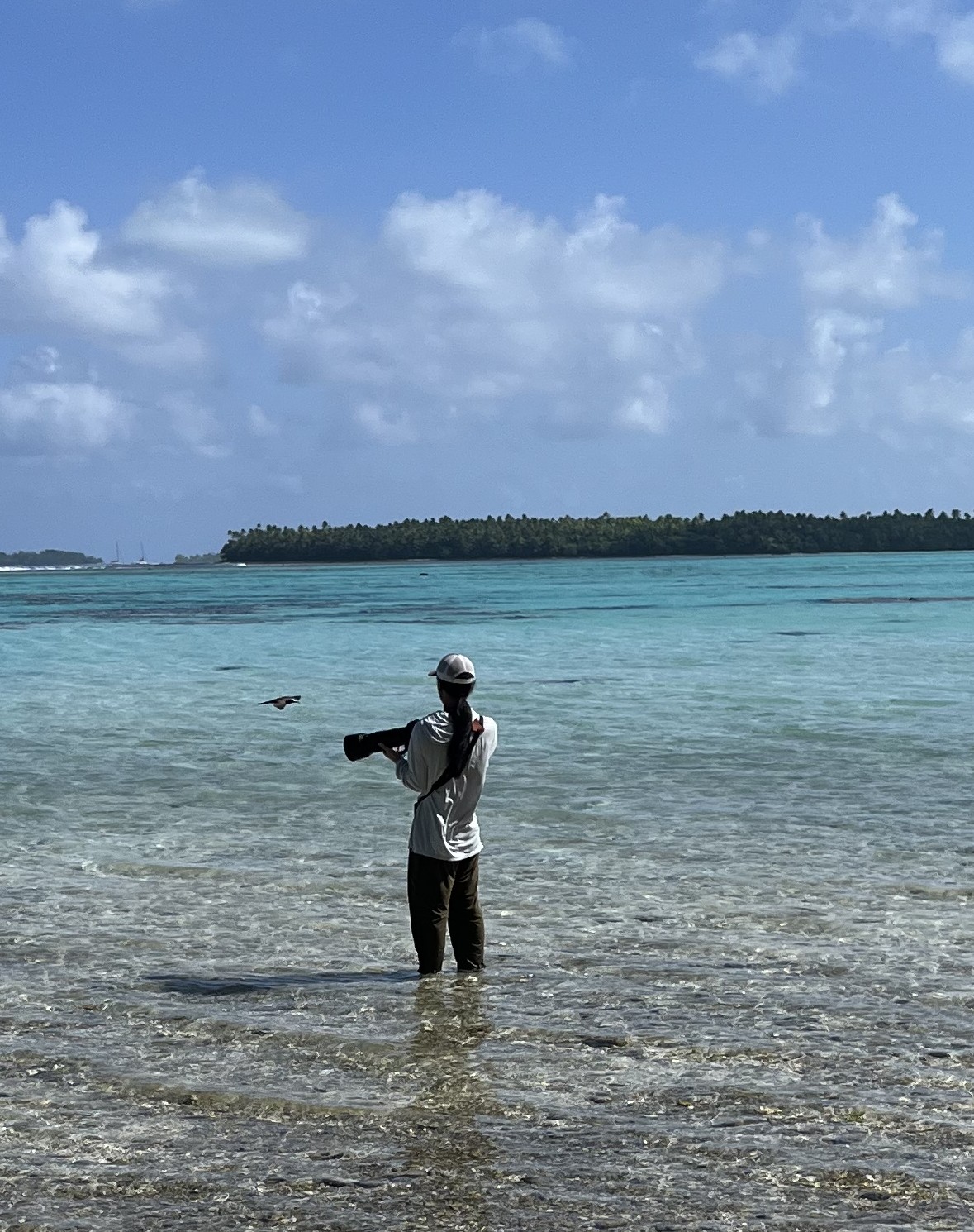 Lab Members | Quantitative Ecology Lab