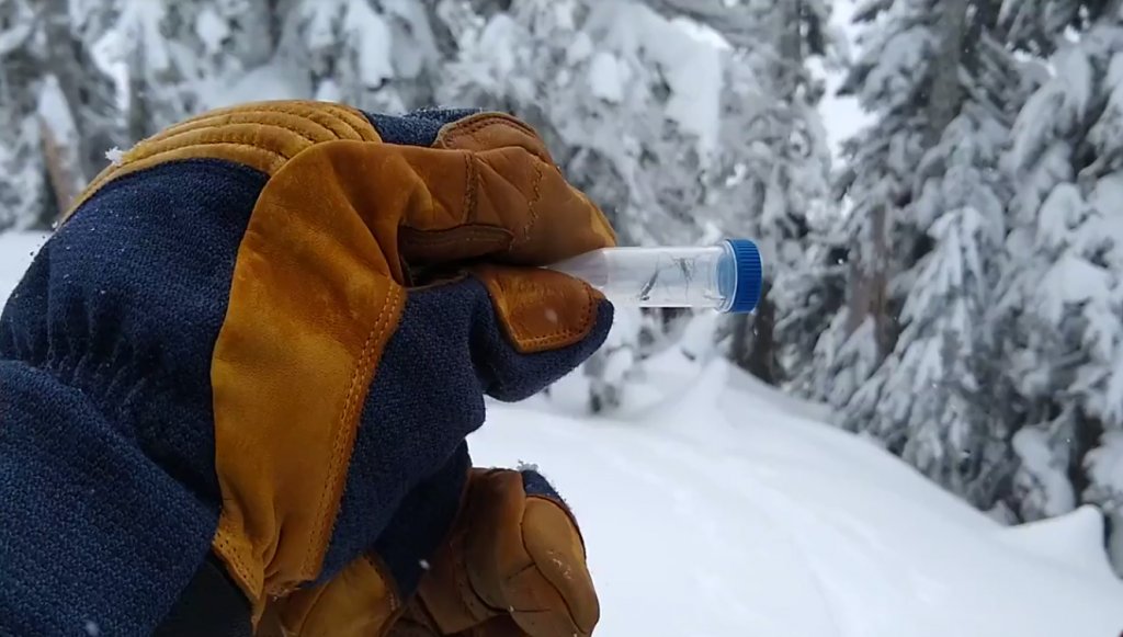 “Snow Bug” Gallery – The Snow Fly Project