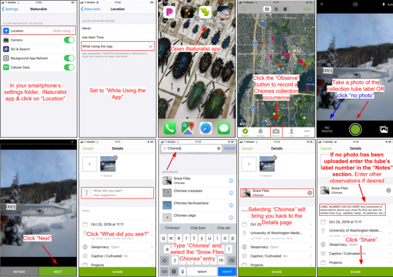 iNaturalist “How to” Guide – The Snow Fly Project
