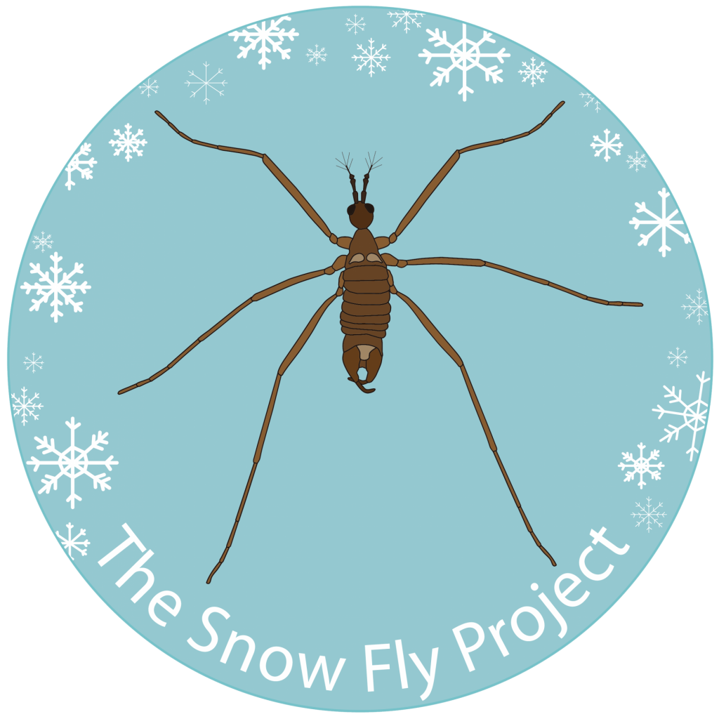 The Snow Fly Project – Harnessing citizen science to enable research ...