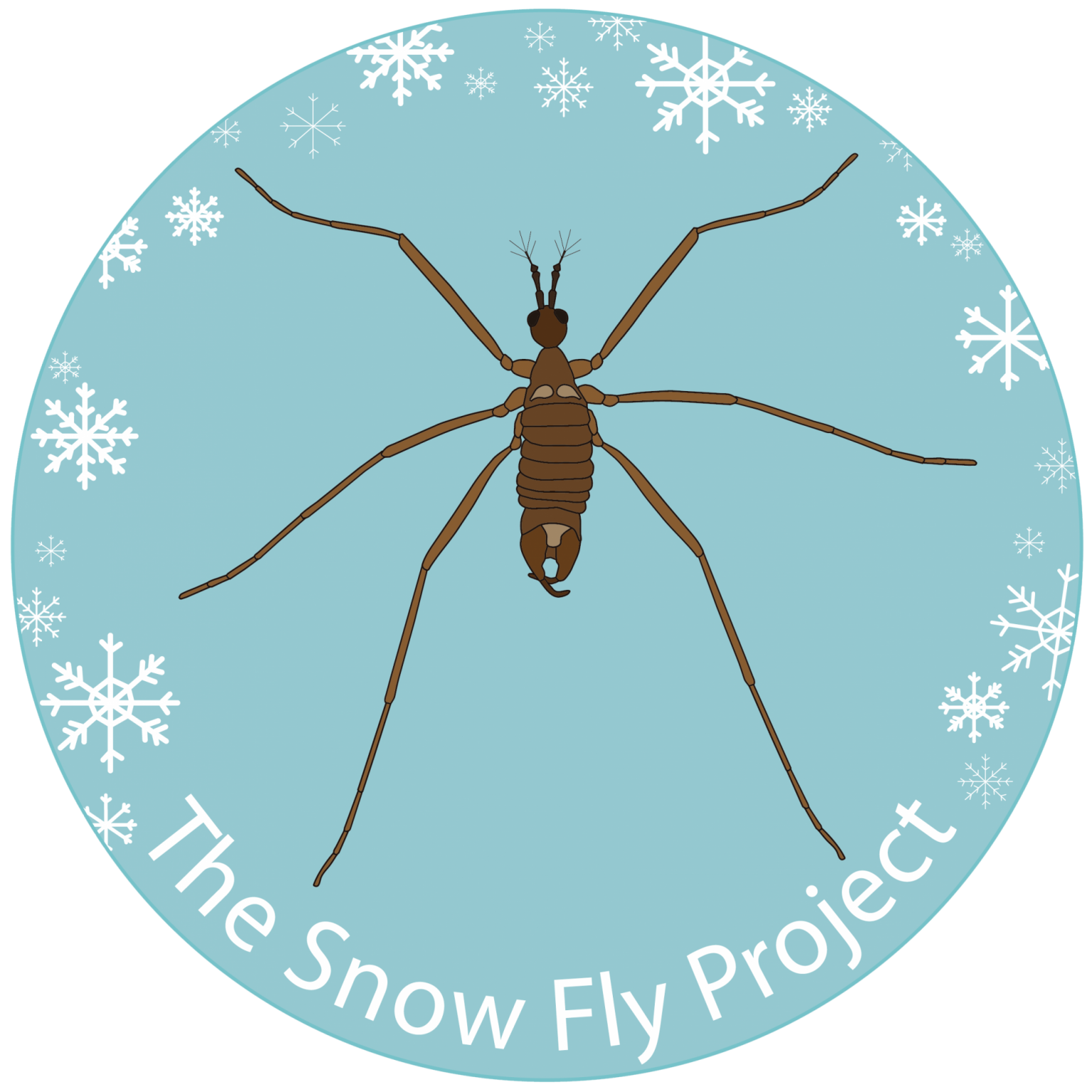 Snow Fly Basics – The Snow Fly Project