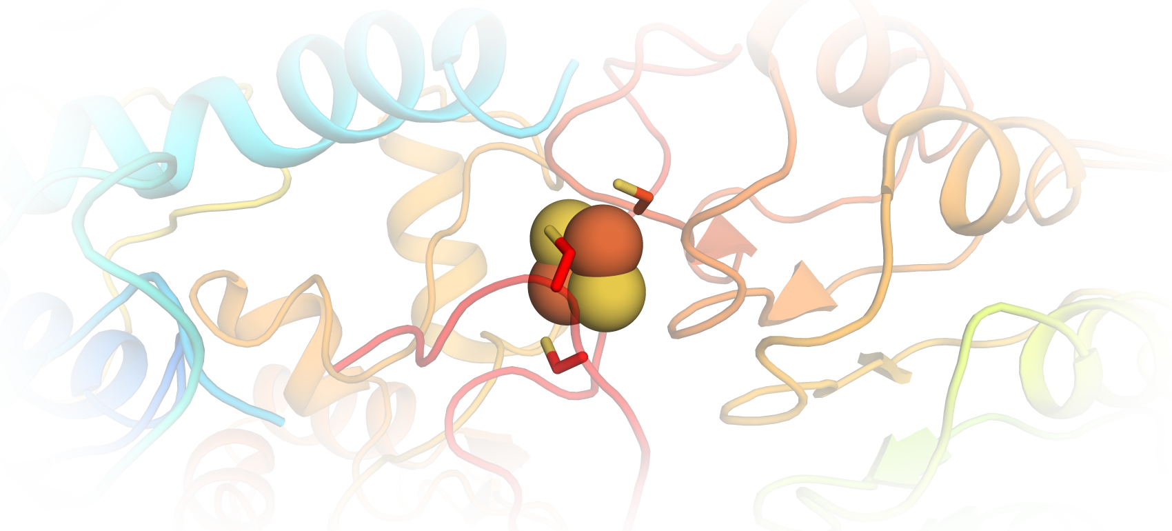 Metallo- and radical enzymes | Stoll Group