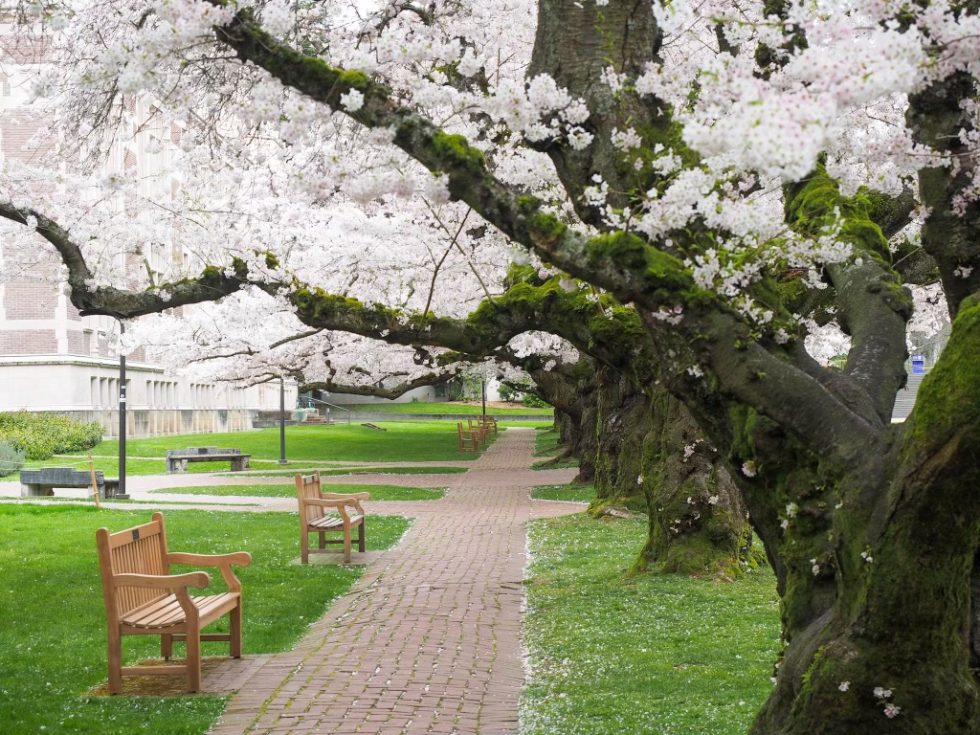 SWELL | Safe Water Equity & Longevity Lab