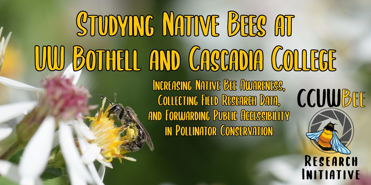 CCUWBee Native Bee Research Initiative – CONNECTED HUSKIES