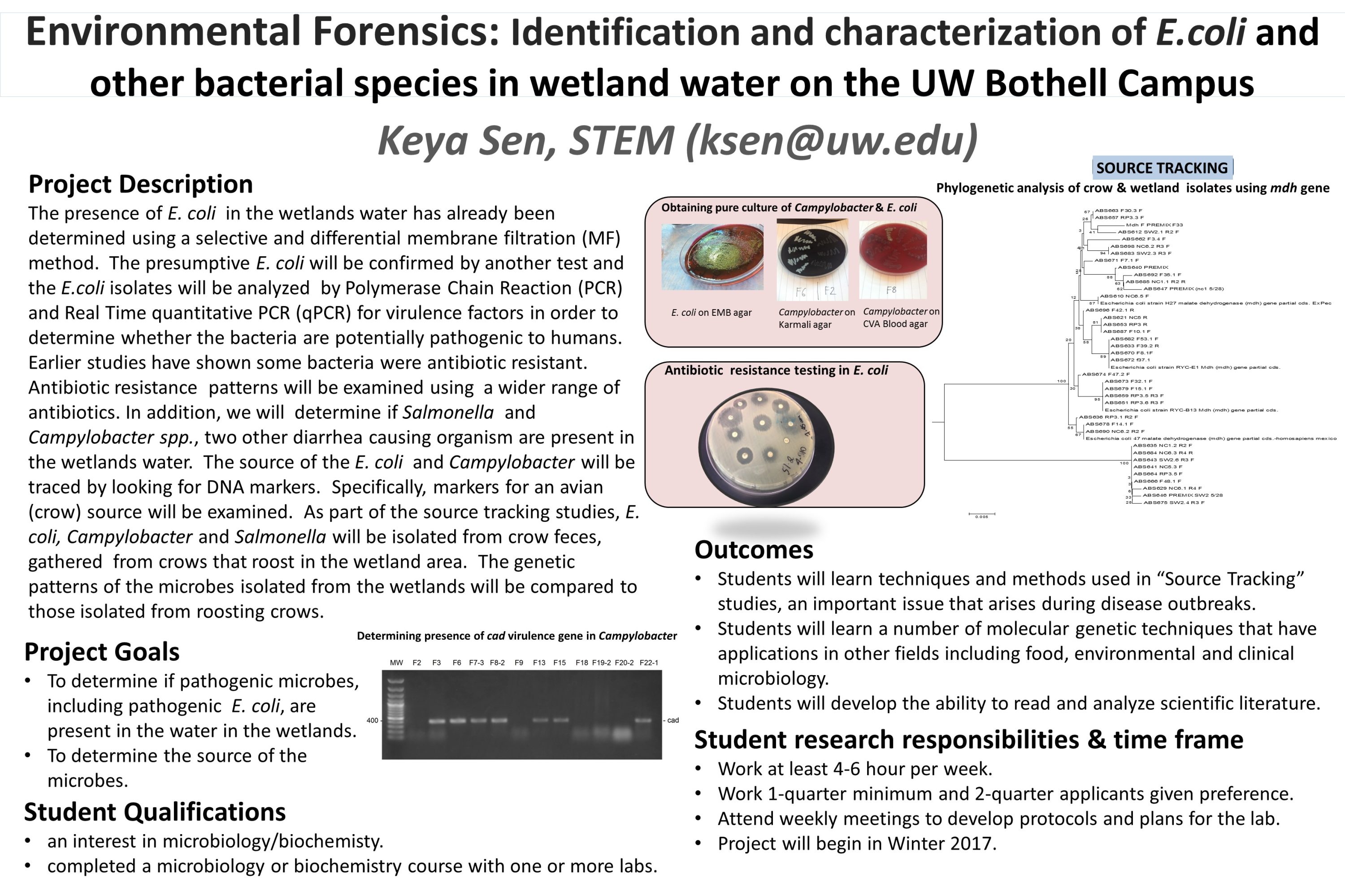 Environmental Forensics: Identification and Characterization of E. coli ...