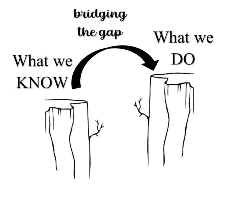 Implementation Science 101 – RAISE