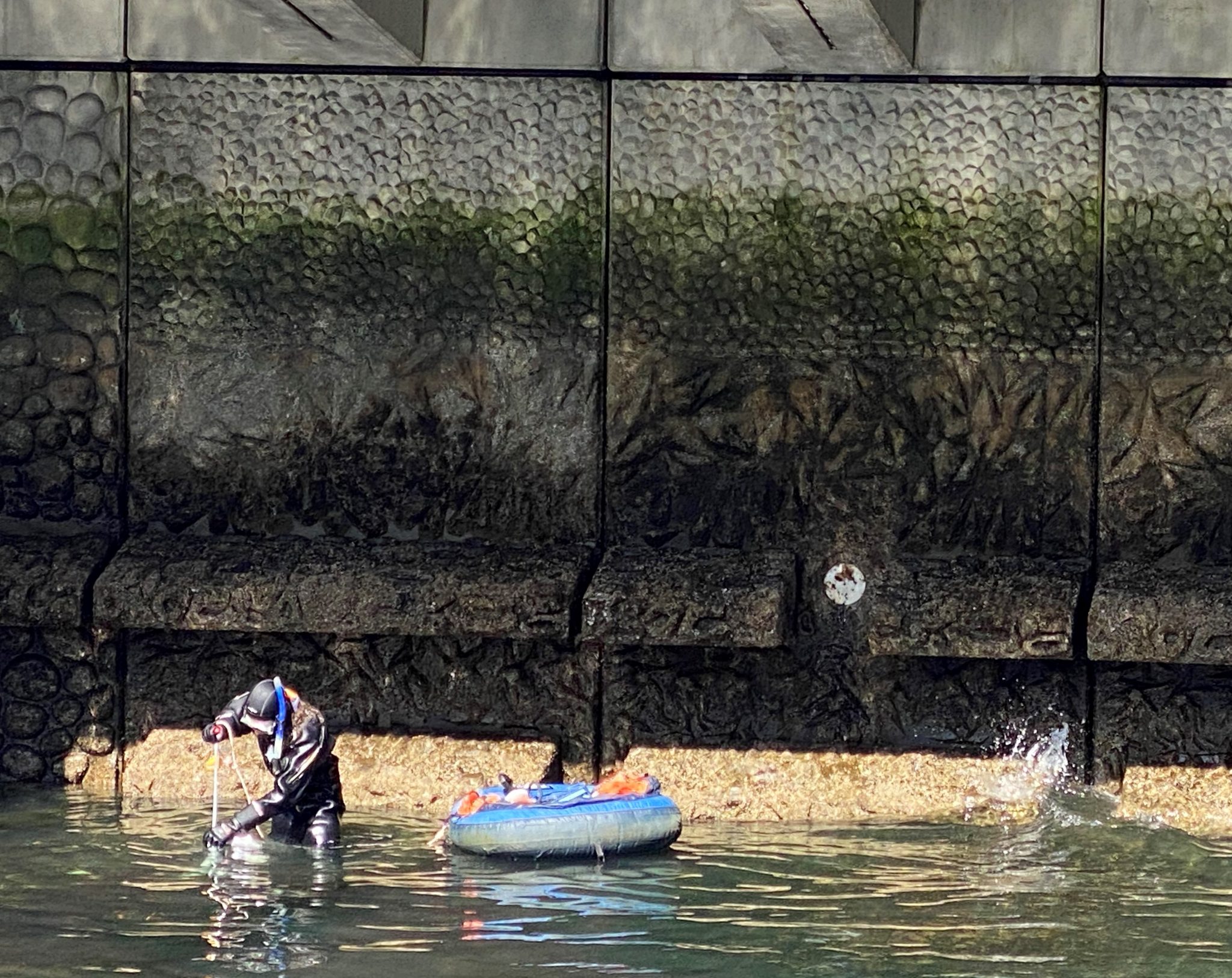 Seattle seawall – Wetland Ecosystem Team