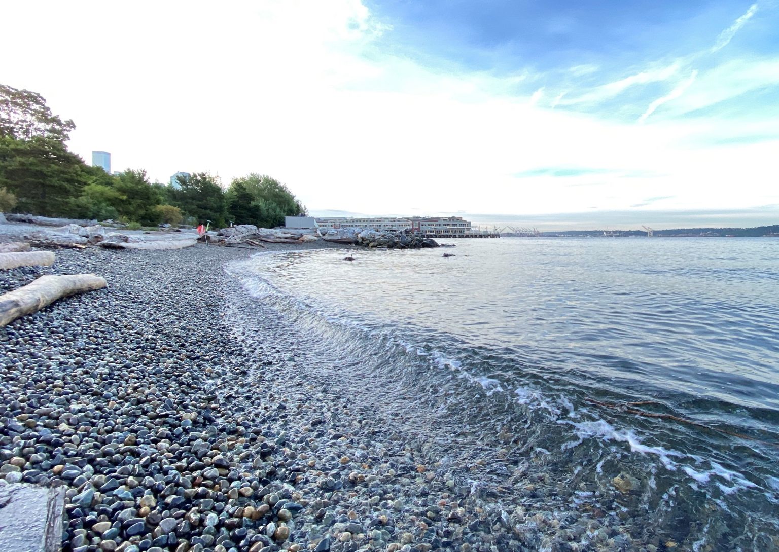 Seattle seawall – Wetland Ecosystem Team